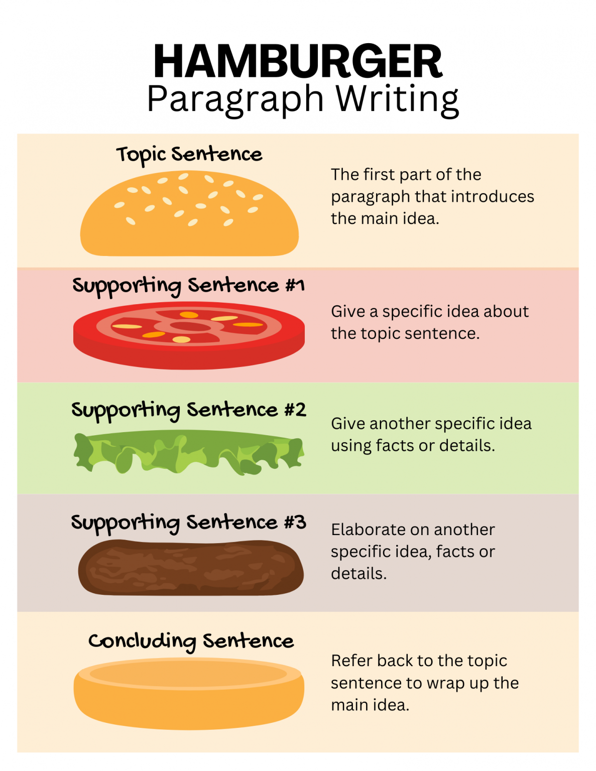 Paragraph writing - The Burger Method - Liketoshare